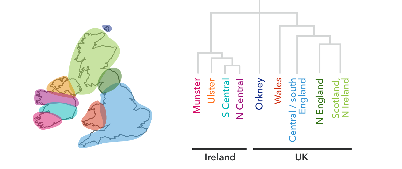 British and Irish People; Ancestral affiliation from 23andme: Anglo ...